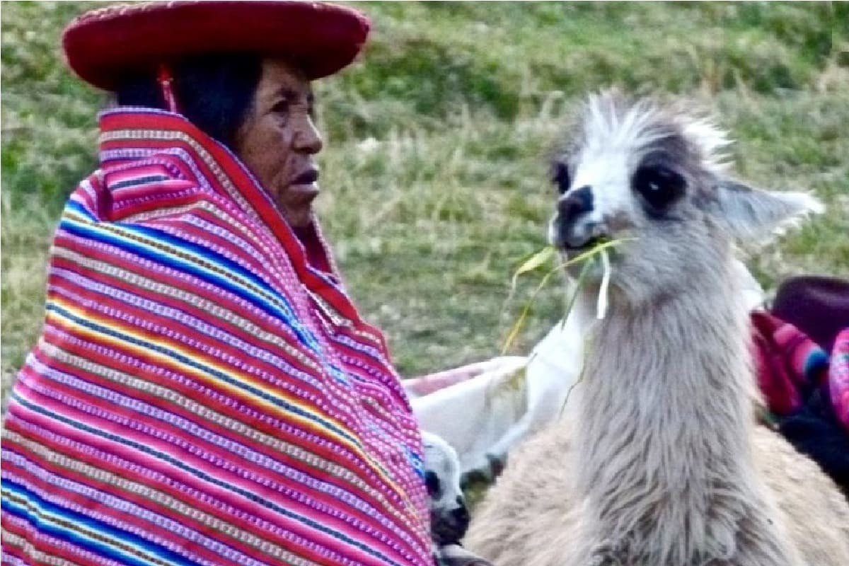 O que fazer em Cusco. Dicas de viagem para Cusco.
